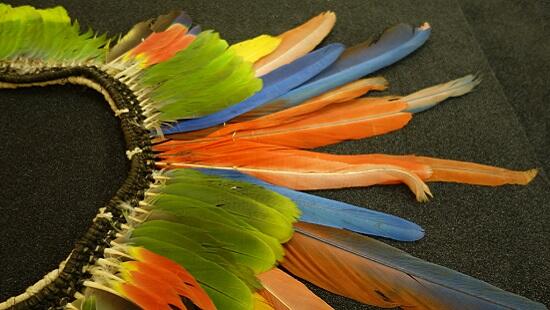 AAP 2017-2018 – Retour sur le projet COLAM | Observatoire des ...